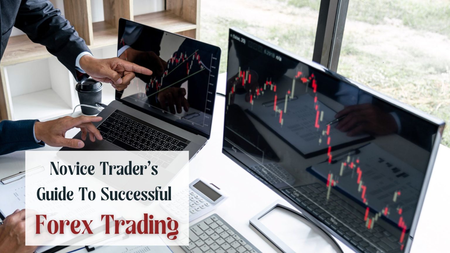 Novice Trader Guide To Successful Forex Trading